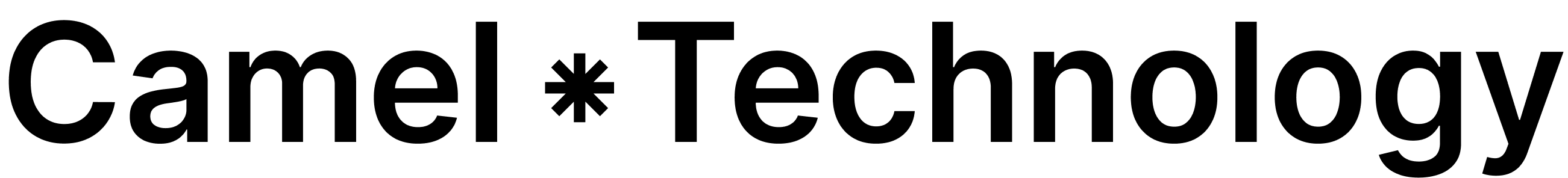 株式会社キャメルテクノロジー